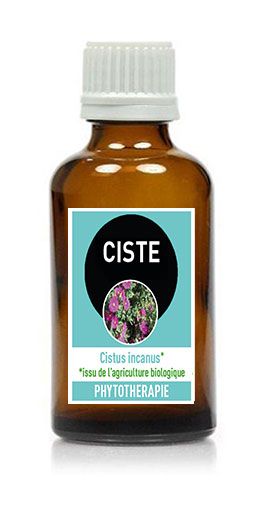 Extrait de CISTE | Indispensable en hiver |Au meilleur prix